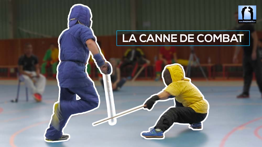 La Canne de Combat c'est Quoi ? - Imagin Arts Tv