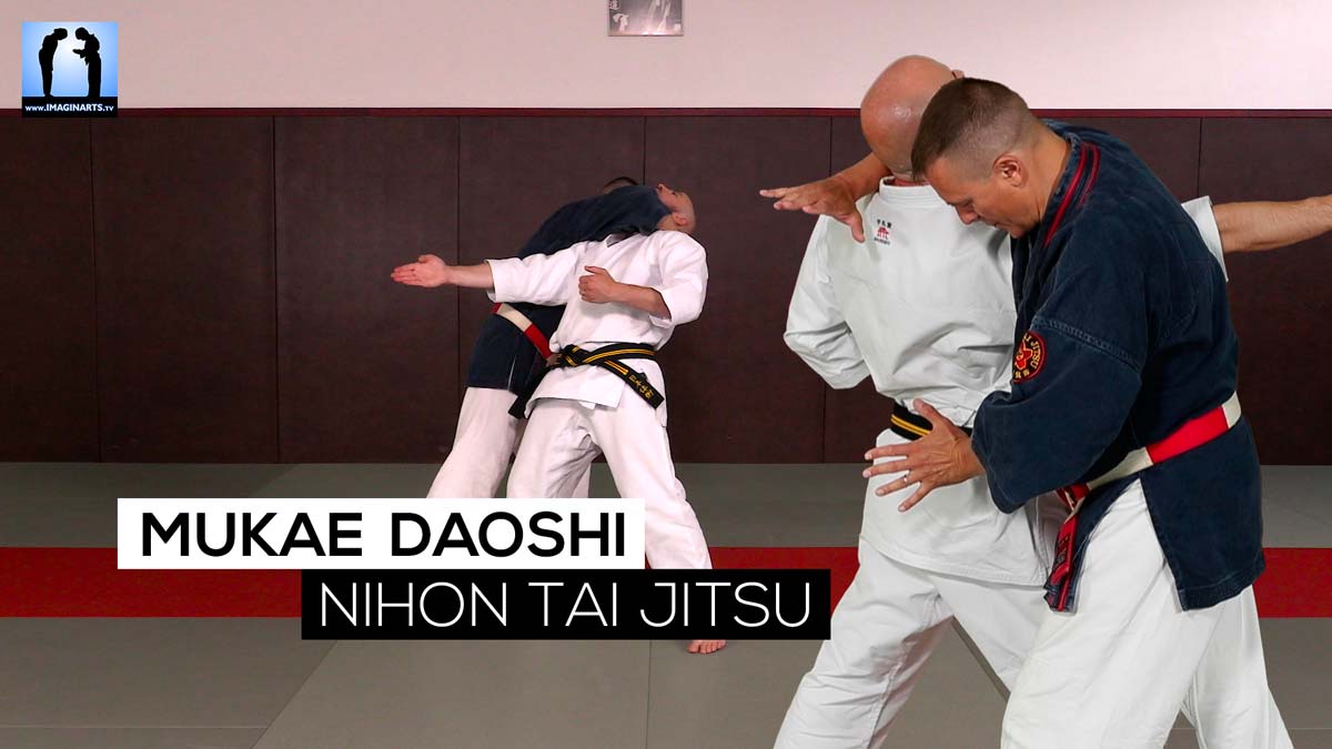 Mukae Daoshi - Imagin Arts Tv