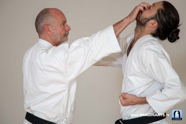 Autour de Sanchin avec Jean Smith sensei - Imagin Arts Tv